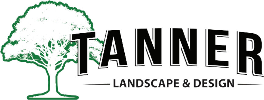 East Valley Landscape Design & Installation | Tanner Landscape & Design